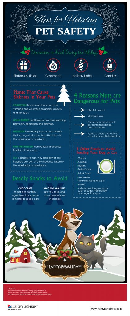 Holiday Pet Safety